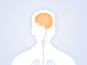 Pipeline – Neurodon