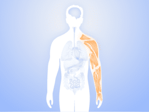 Pipeline – Neurodon