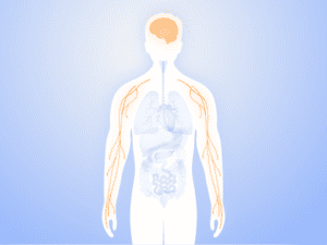 Pipeline – Neurodon