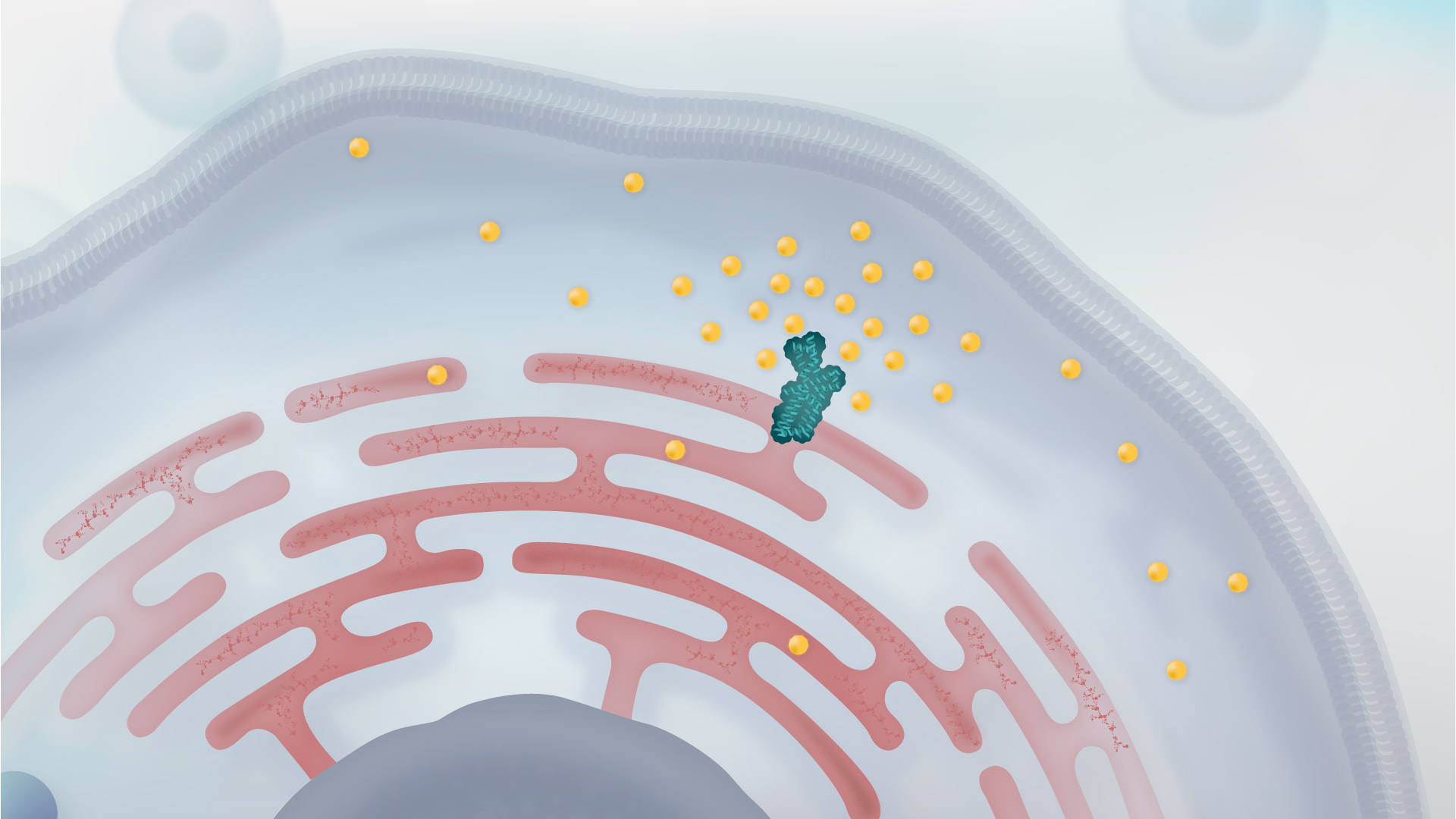 Science – Neurodon