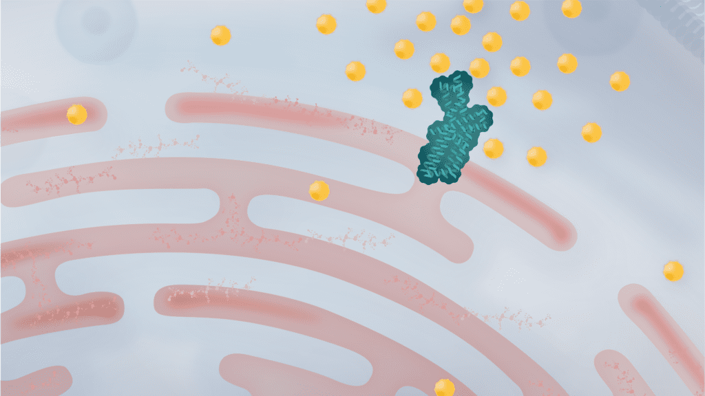 Science – Neurodon